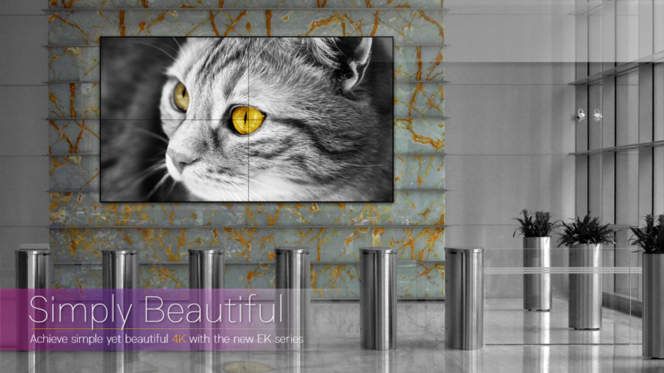 GPO Display | Visual Solutions