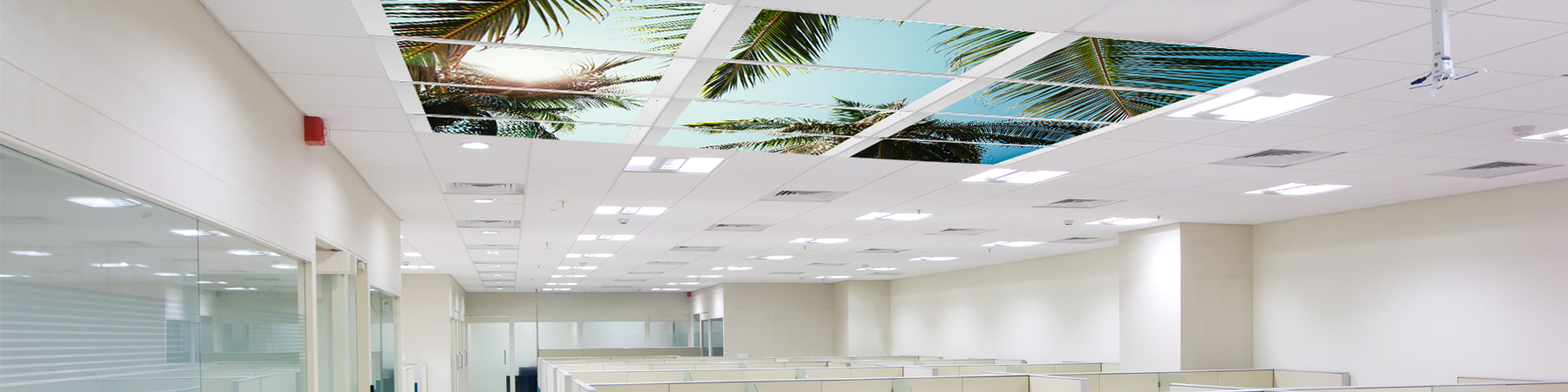 Virtual Skylight • GPO Display