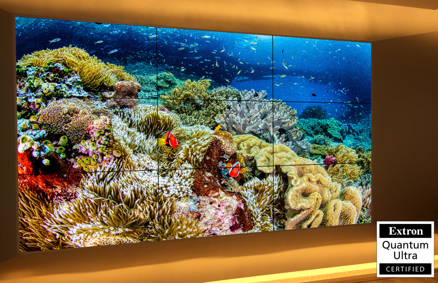 Next-Gen Video Walls - GPO Display | Visual Solutions
