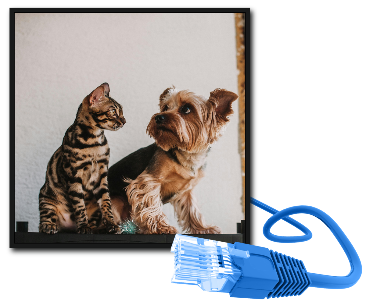 Power over Ethernet (PoE) Displays • GPO Display | Visual Solutions